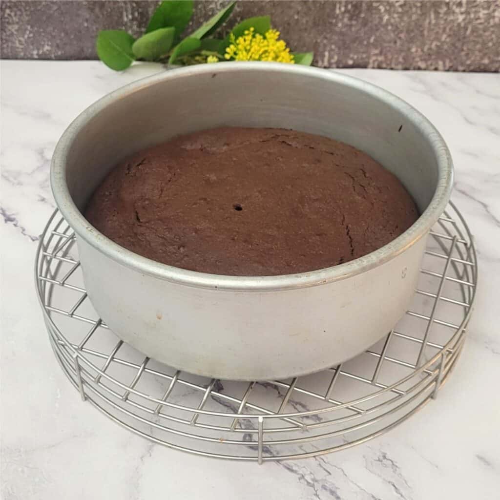 Chocolate Flourless Banana Cake - Desserts With Stephanie
